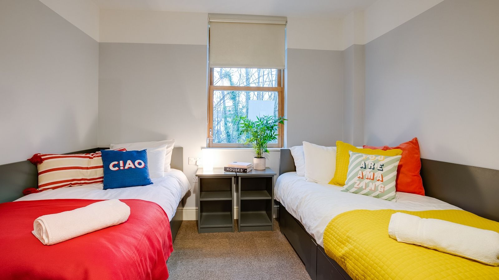 Terms & Conditions | Griffith Halls of Residence