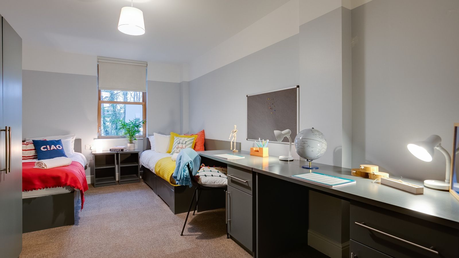 Terms & Conditions | Griffith Halls of Residence